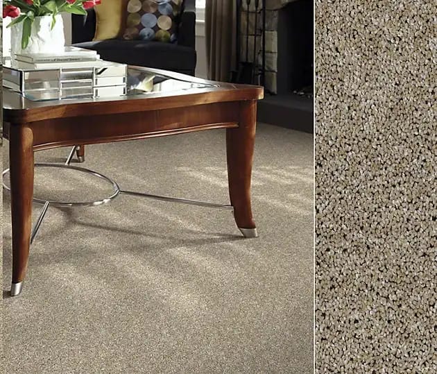 Premium Carpet Flooring Solutions - Top Notch Stylish Designs